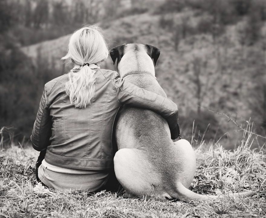 Loss of a Dog: 7 Stages of Grief and How to Cope Gently – Trees For Pets