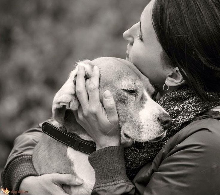 How to Cope with the Loss of a Pet: 5 Stages of Grief & Nature Healing ...