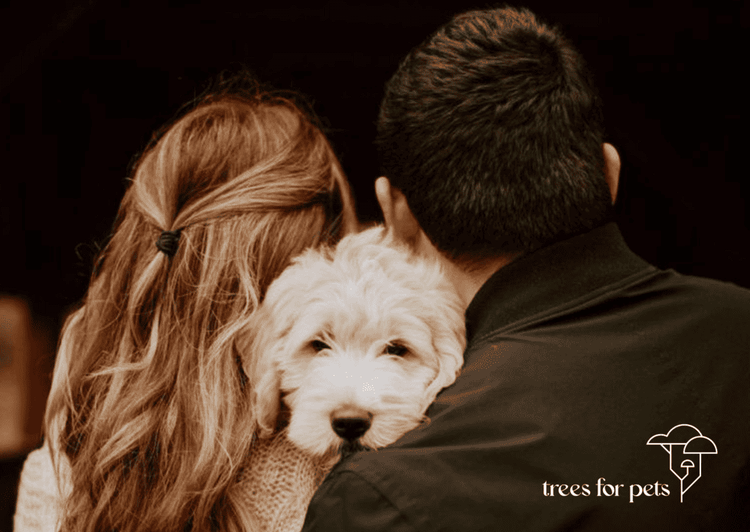 3 Great Memorial Remembrance Gift Ideas to Help Families Heal After Pet ...