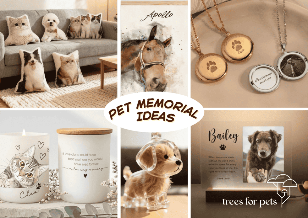 Cat Memorial Gifts: When & What to Give After a Beloved Cat Passes ...