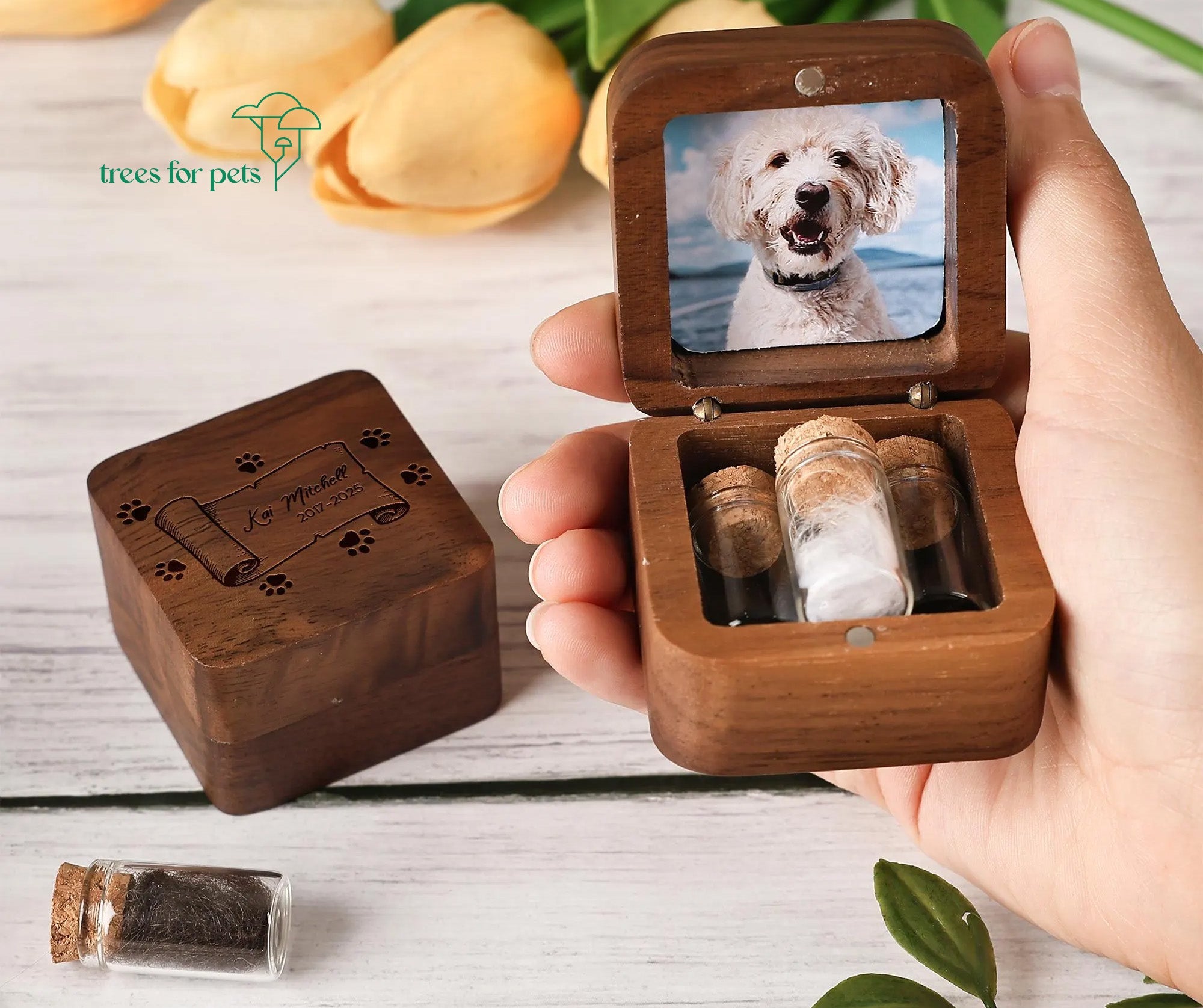 What to Do with Your Dog's Cremation Ashes: Meaningful Ideas – Trees ...