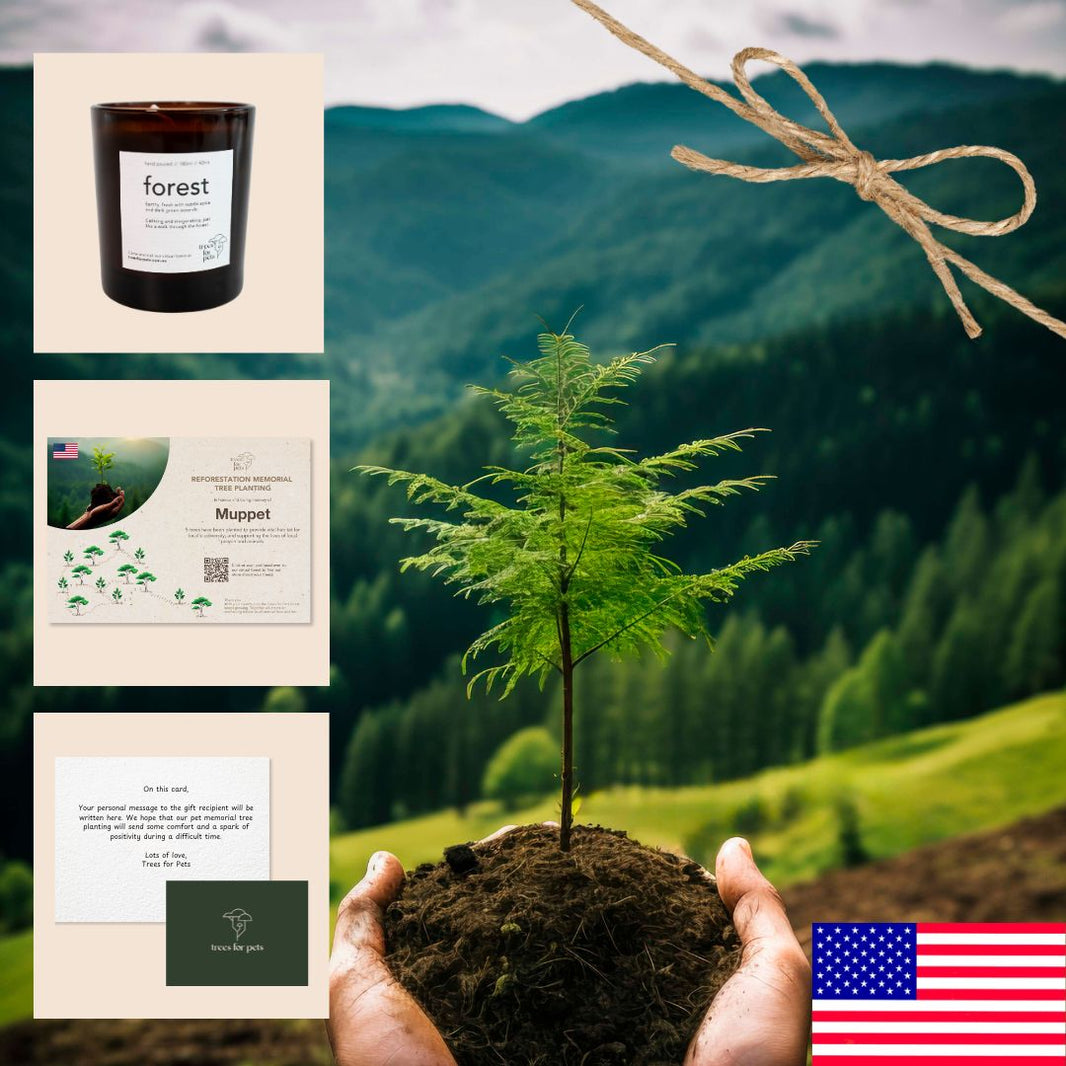 Trees for Pets – Pet Memorial Gifts & Tribute Trees for Furry Friend