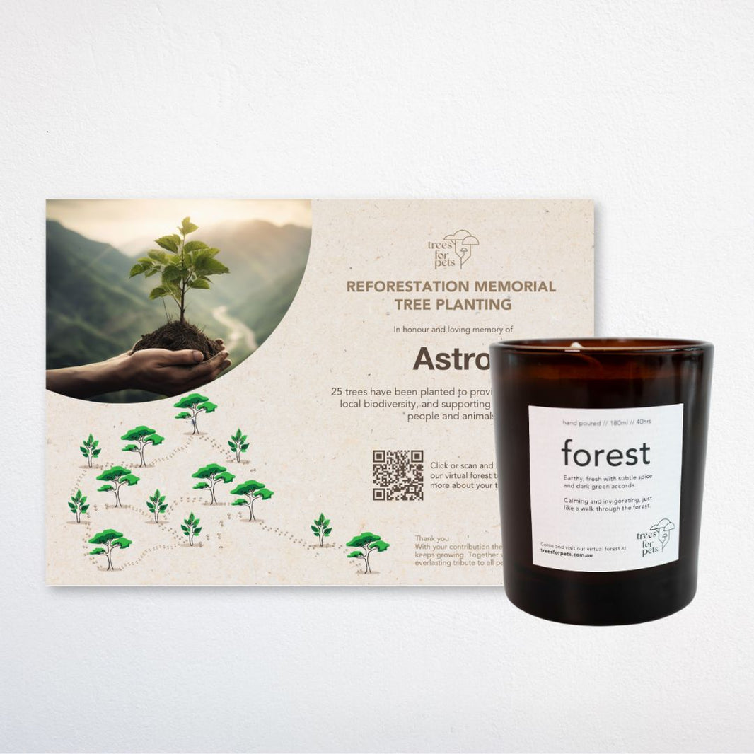 Trees for Pets – Pet Memorial Gifts & Tribute Trees for Furry Friend